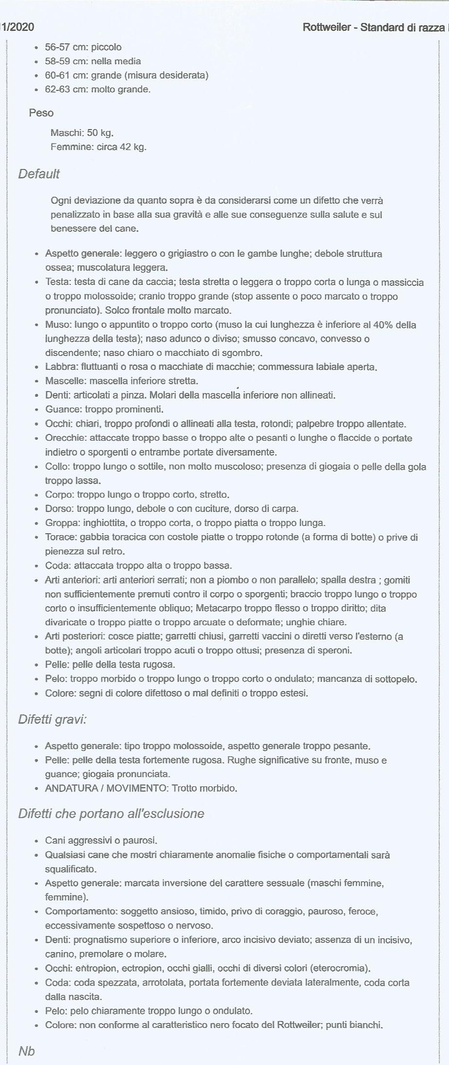 Morfologia – Anatomia – Rottweiler – Carucci